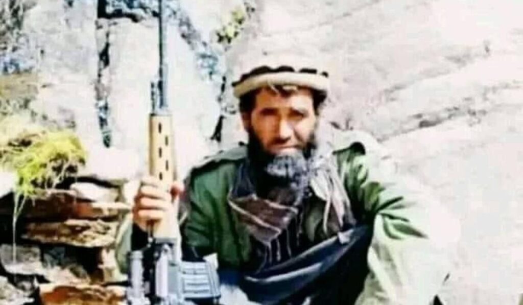 Anti-Taliban forces commander, ‘dozens more’ killed in Panjshir | Amu TV