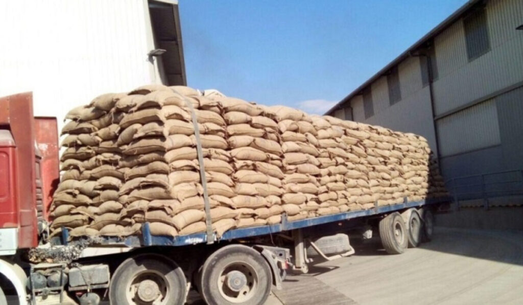 India to send 10,000 tons wheat to Afghanistan: Report | Amu TV