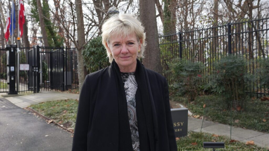 Danish envoy: The world cannot forget about Afghanistan | Amu TV